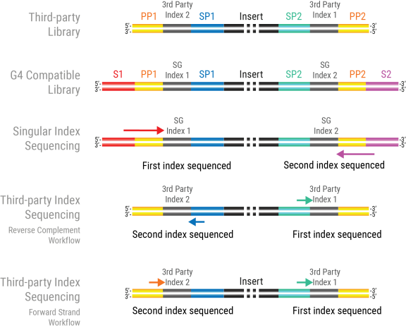 What Are the Differences Between G4 and Third-party Sample Sheets for Index Sequencing